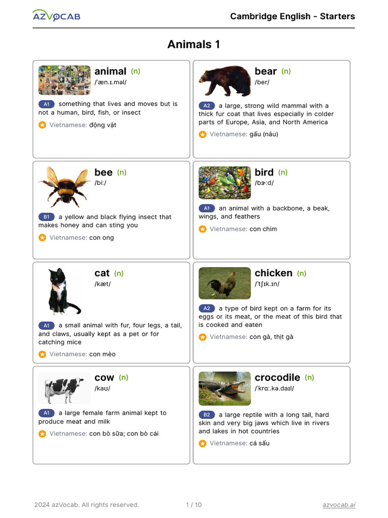 Cambridge Starters Animal Vocabulary | PDF | Elephant | Birds