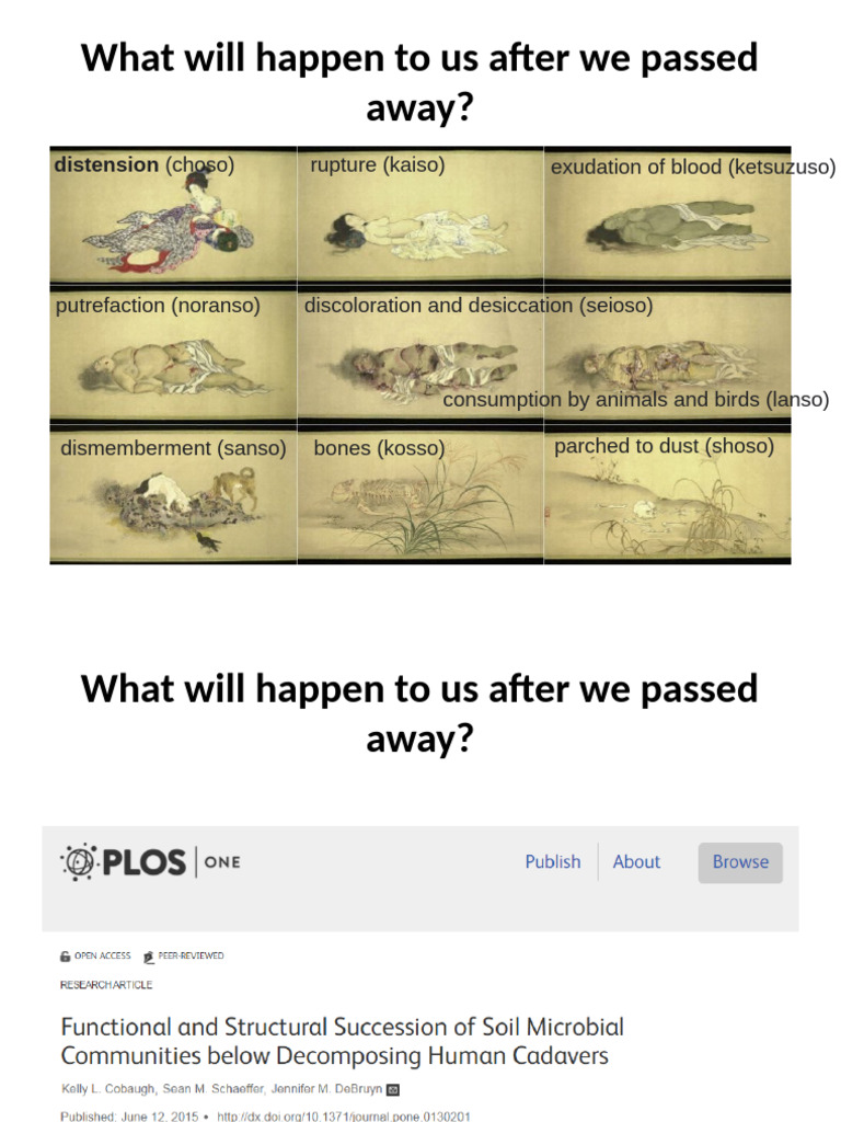 Willed Body Donation and Silent Mentor Program | PDF | Decomposition ...