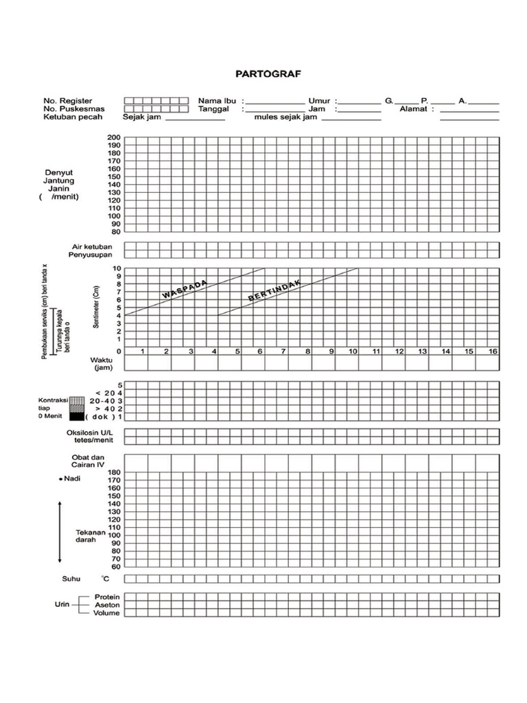 Partograf | PDF