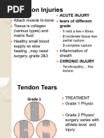 Clinical Pearls On Tendinopathy From DR Jill Cook - Physio Network ...