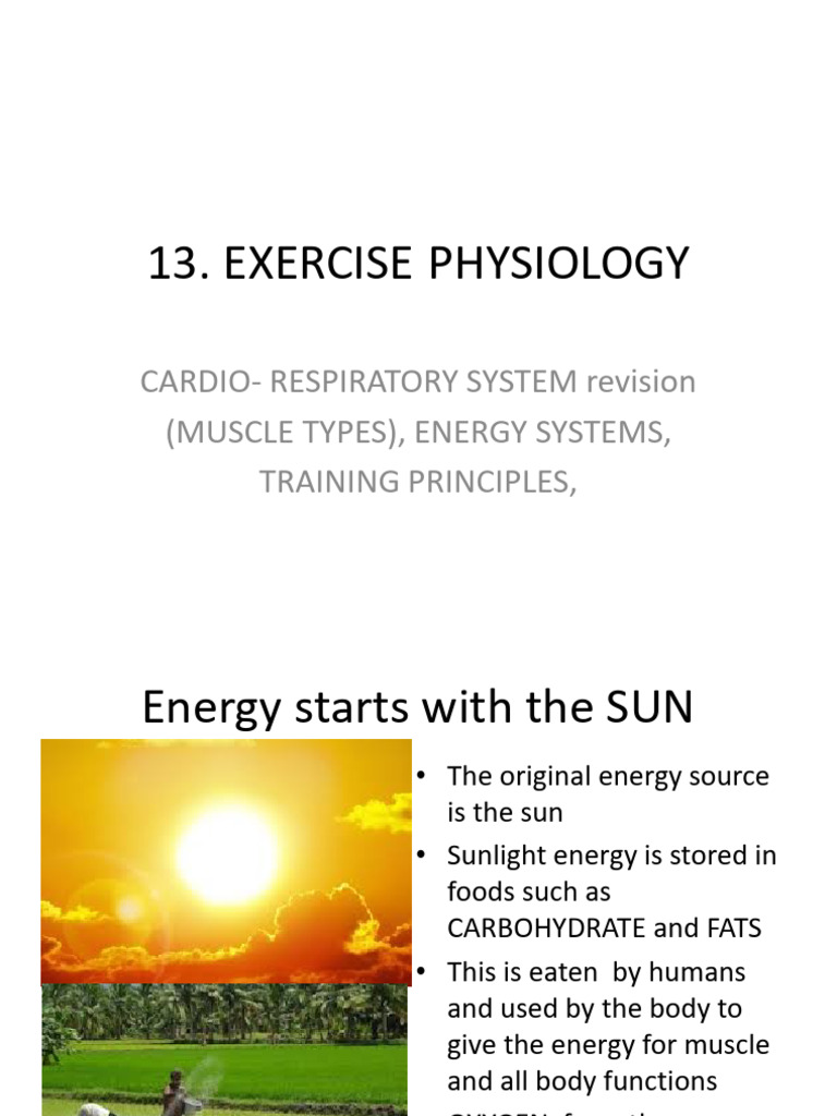 13 Exercise Physiology | PDF | Adenosine Triphosphate | Adenosine Diphosphate