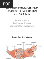 Askling L-Protocol for Hamstring Rehab | PDF | Electromyography ...