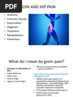 Hagos Hip and Groin Questionnaire | PDF