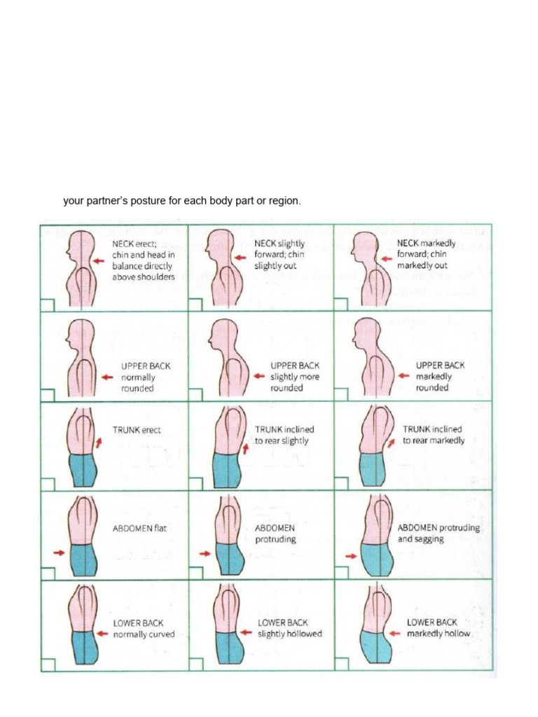 Postural Assessment Guide and Chart | PDF