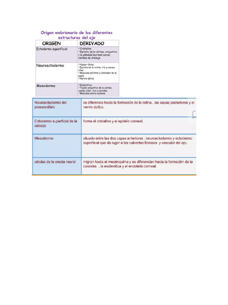Derivados Del Ectodermo Pdf