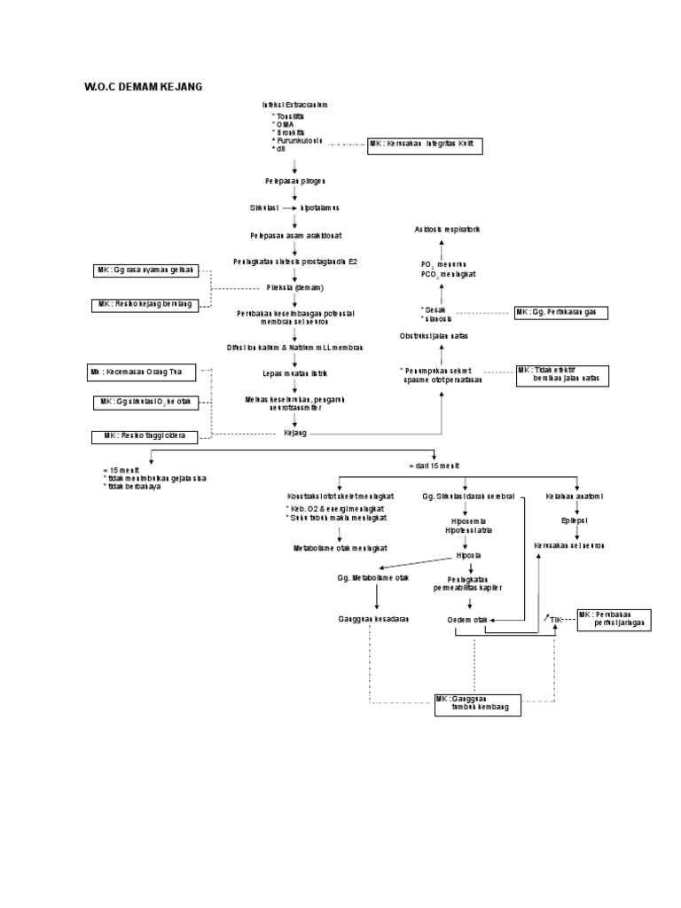 WOC Demam Kejang | PDF