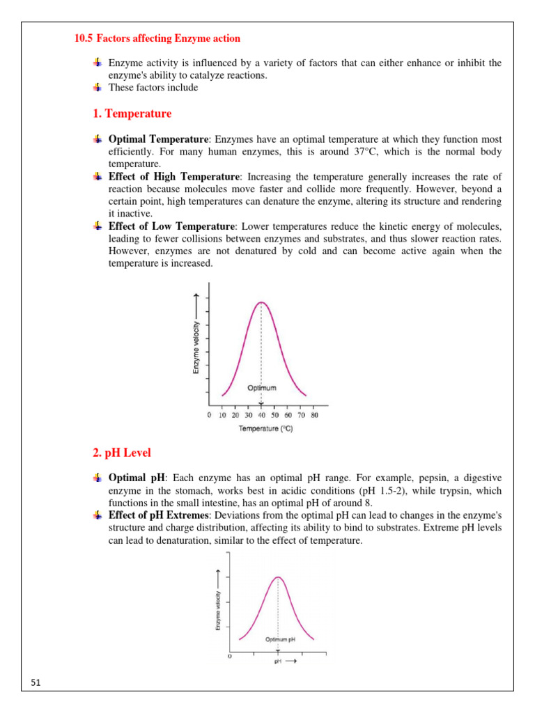 Factors Affecting Enzyme Activity | PDF | Enzyme | Enzyme Inhibitor