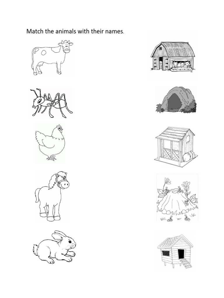 Match The Animals With Their Names | PDF