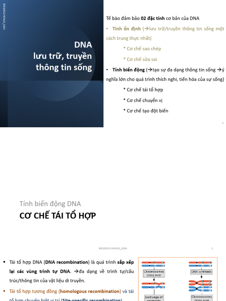 2.2 DNA Tinh bien dong_ver.10.2024 | PDF
