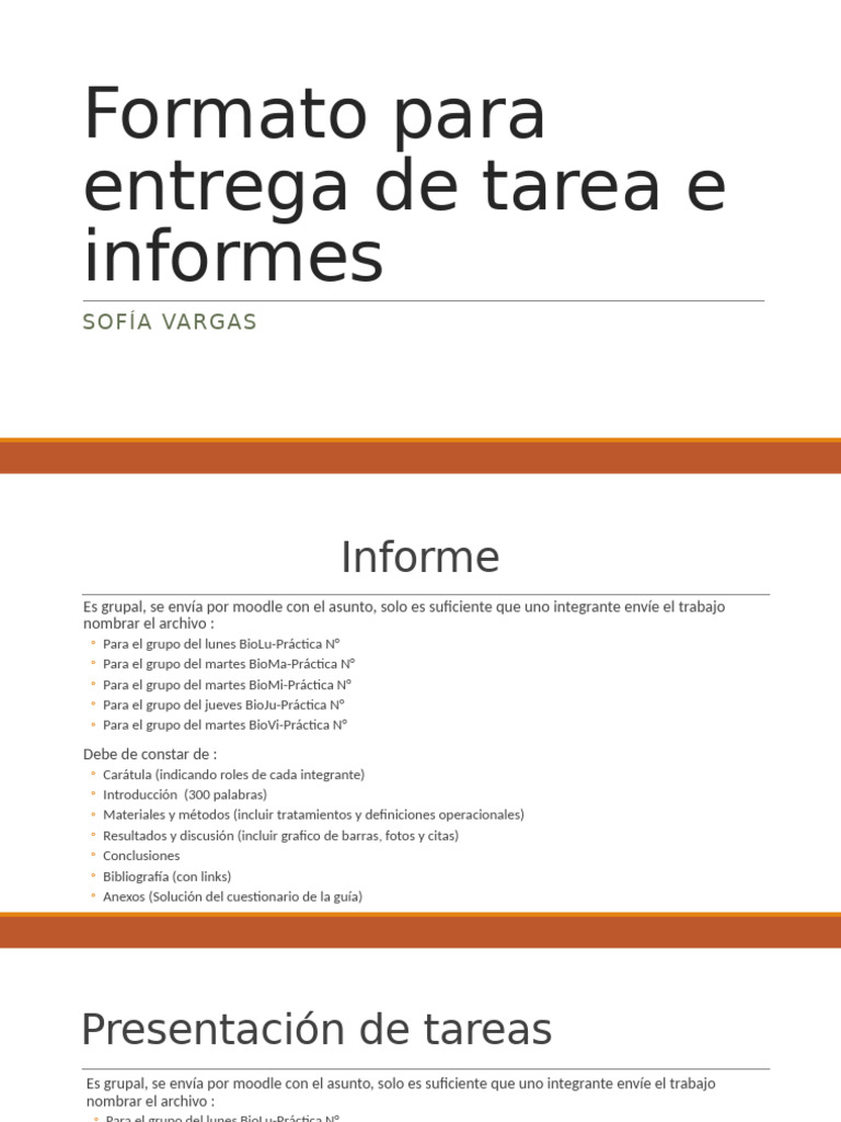 Formato para Entrega de Tarea e Informes | PDF