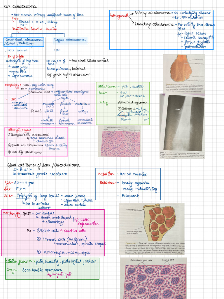 Imp Bone Tumor | PDF | Cancer | Medical Specialties