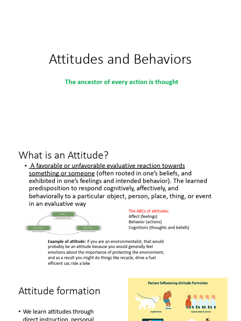 Understanding Attitudes and Behavior | PDF | Attitude (Psychology ...