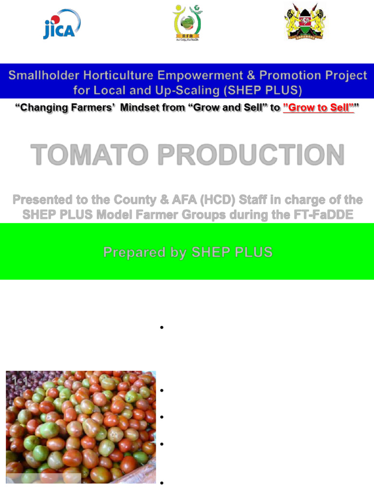 Tomato Production Guide for Farmers | PDF | Tomato | Plant Nursery