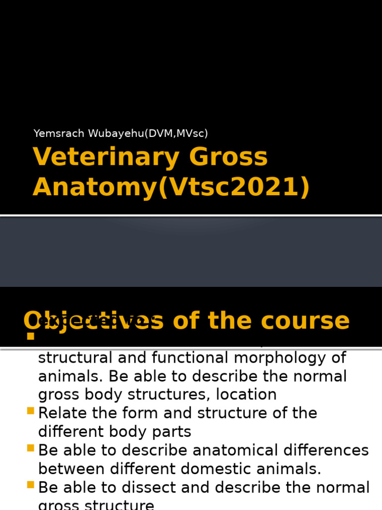 Grossanatomy Chp1,2&3 | PDF | Vertebra | Vertebral Column