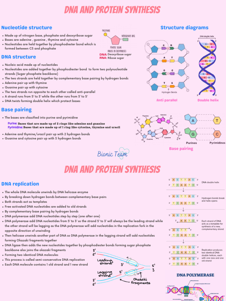 DNA & RNA: Structure & Synthesis | PDF | Dna | Nucleotides