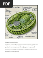 ProTox-3.0 - Prediction of TOXicity of Chemicals | PDF | Receptor ...