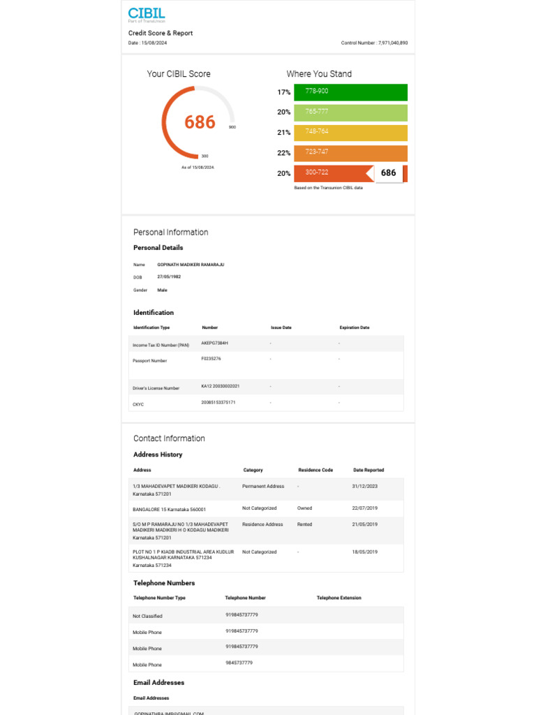 CIBIL Credit Score Report Summary | PDF | Finance & Money Management ...
