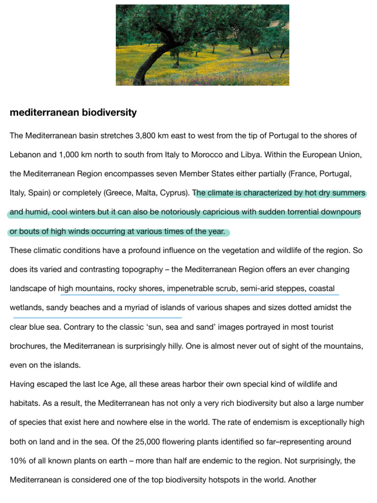 Mediterranean Biodiversity Overview | PDF | Mediterranean Sea | Forests