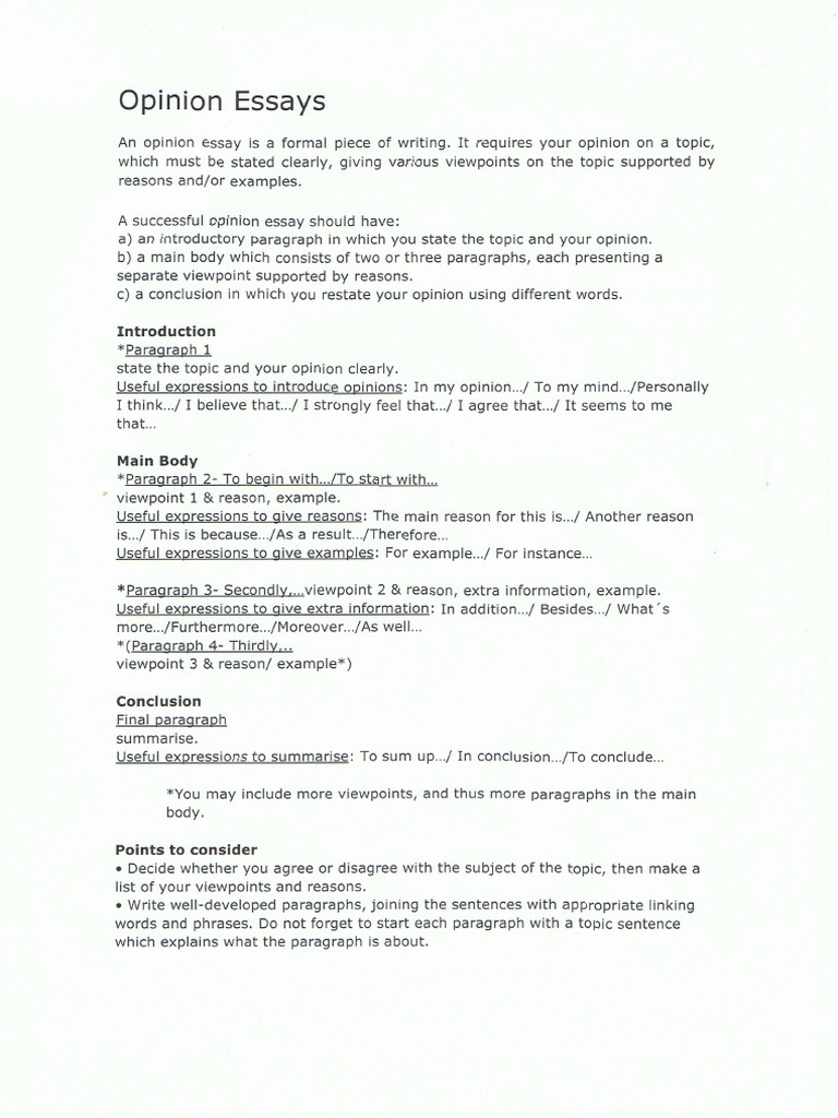 Writing - An Opinion Essay | PDF