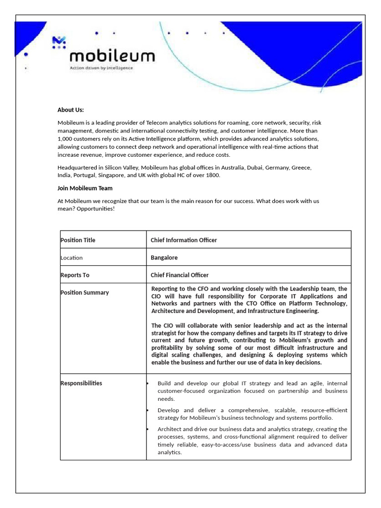 Job Description_CIO (1) | PDF | Chief Information Officer | Analytics