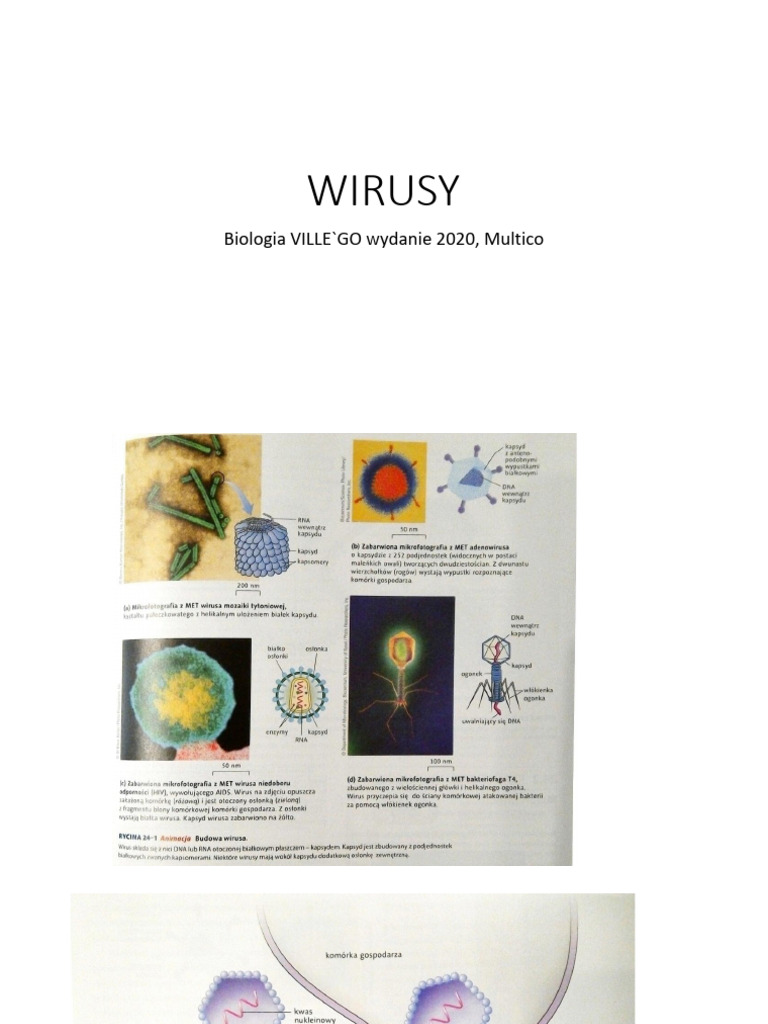 WIRUSY-1 | PDF