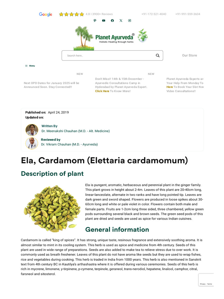 Ela, Cardamom (Elettaria Cardamomum) - Properties, Benefits, Uses ...