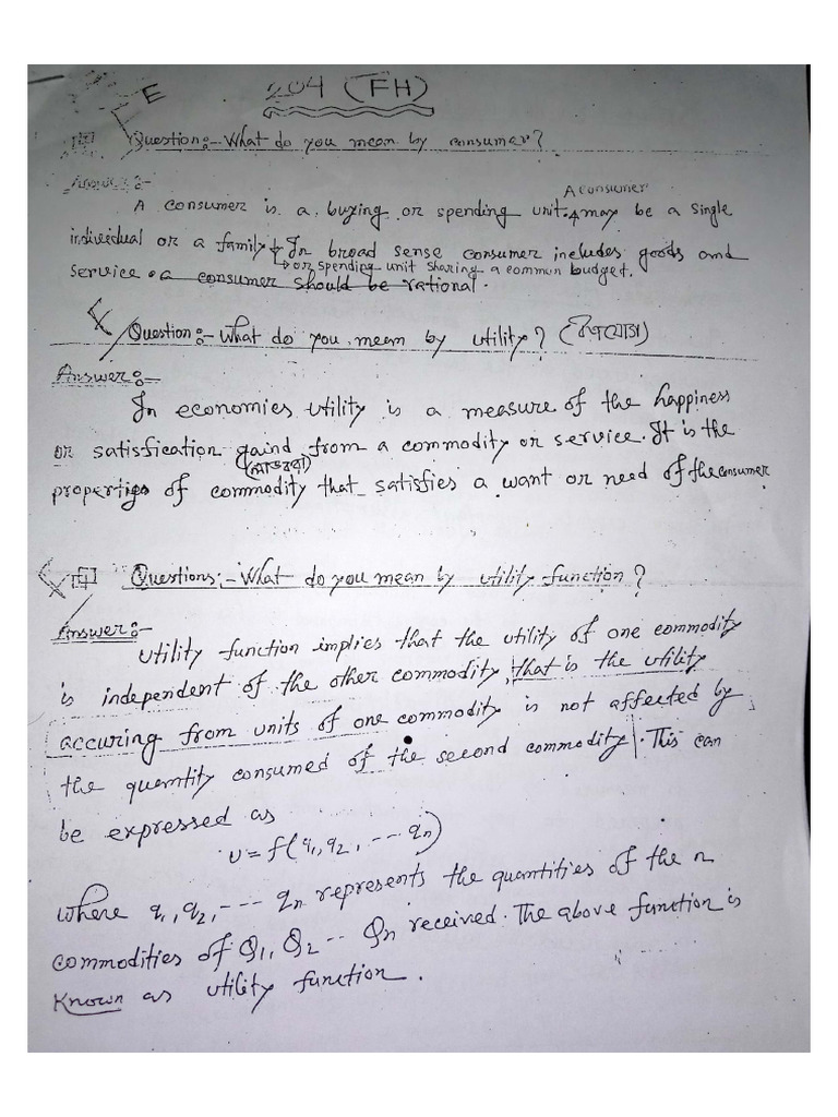 Utility Function | PDF