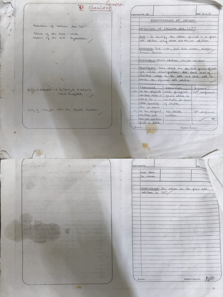 Chem Lab Practical | PDF