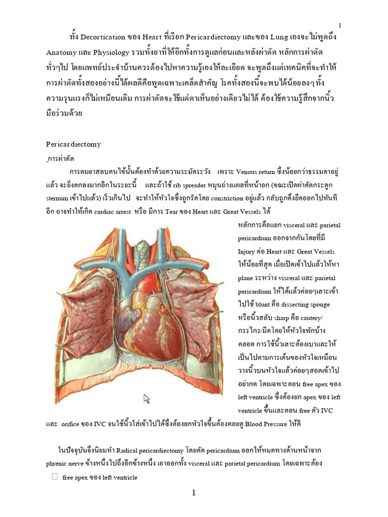 Decortication of Heart & Lung | PDF