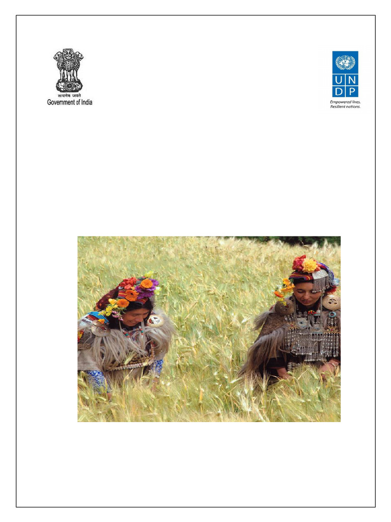 Tribal Dev Plan Report India | PDF