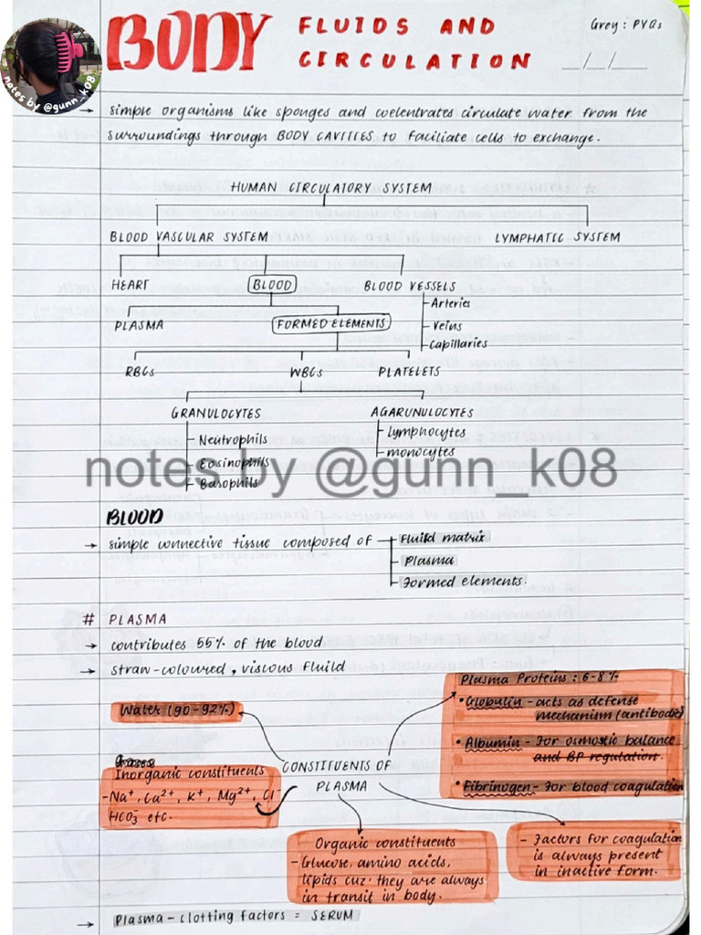 Body Fluids and Circulation Preview | PDF