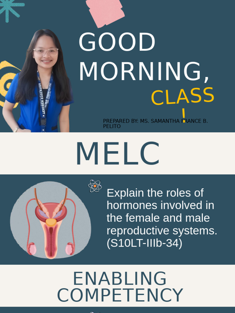 MALE REP. | PDF | Reproductive System | Human Body