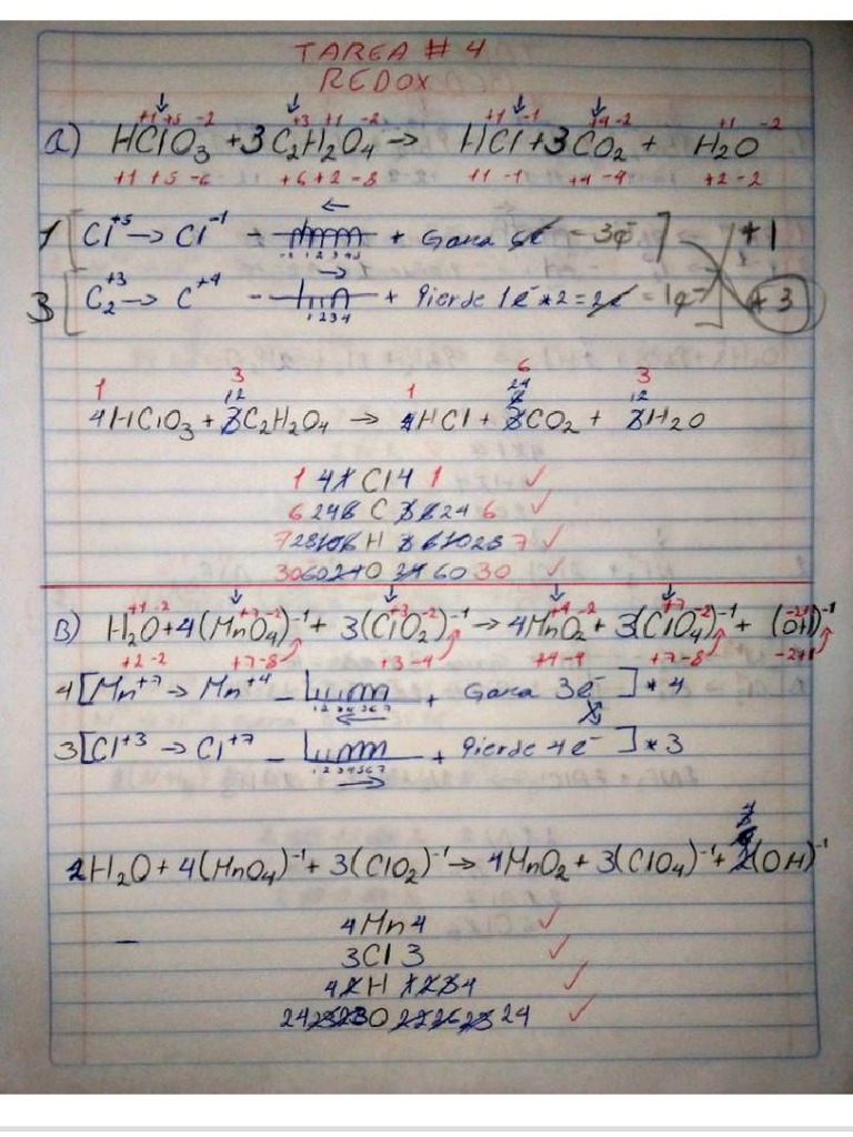 07 QI Redox 4 Velasquez Josue PDF | PDF