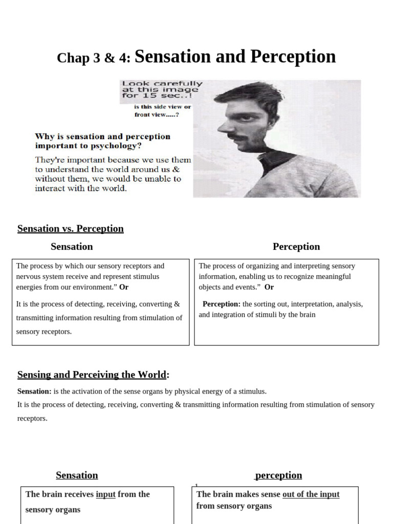 Chpter 3 Sensation and Perception | PDF | Senses | Perception