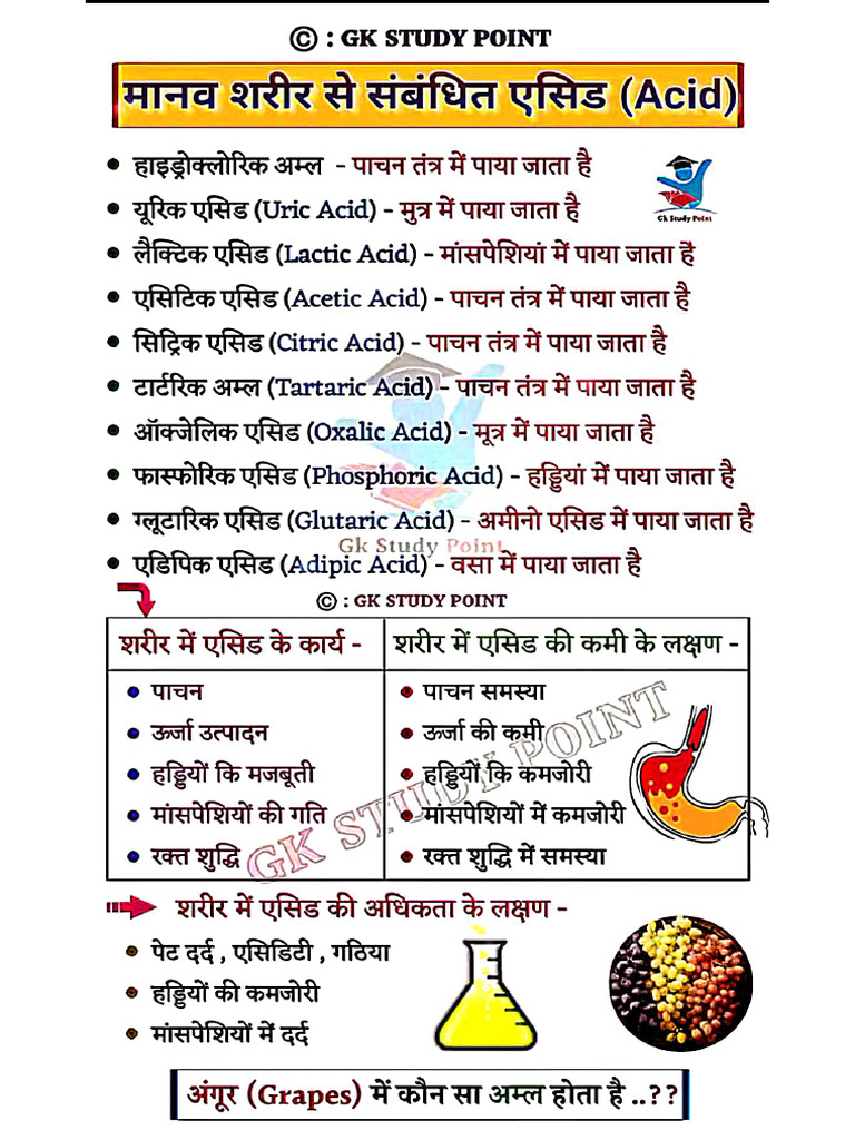 Human Body Acid | PDF