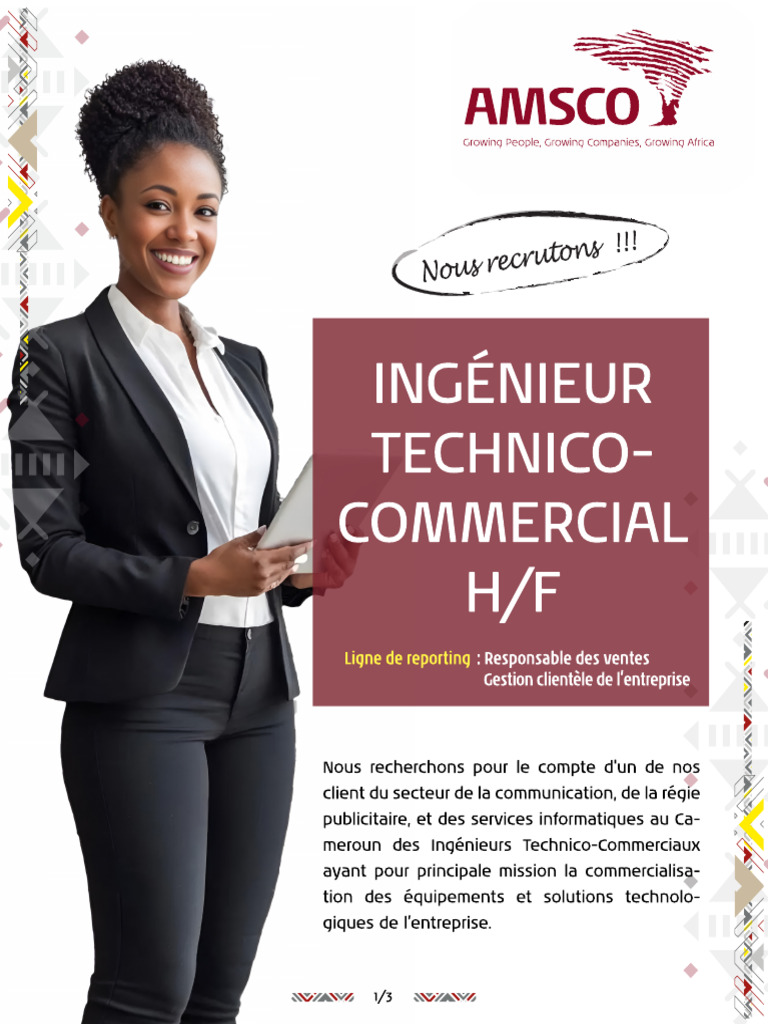 Amsco - Ingénieur Technico-Commercial Version Longue Copie | PDF