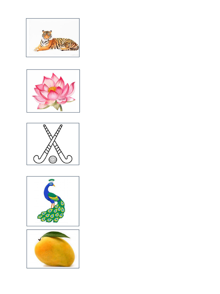 National Symbols | PDF