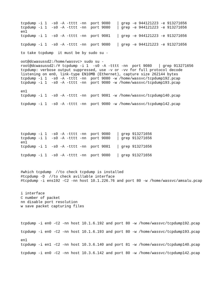 TCP Dump Command | PDF