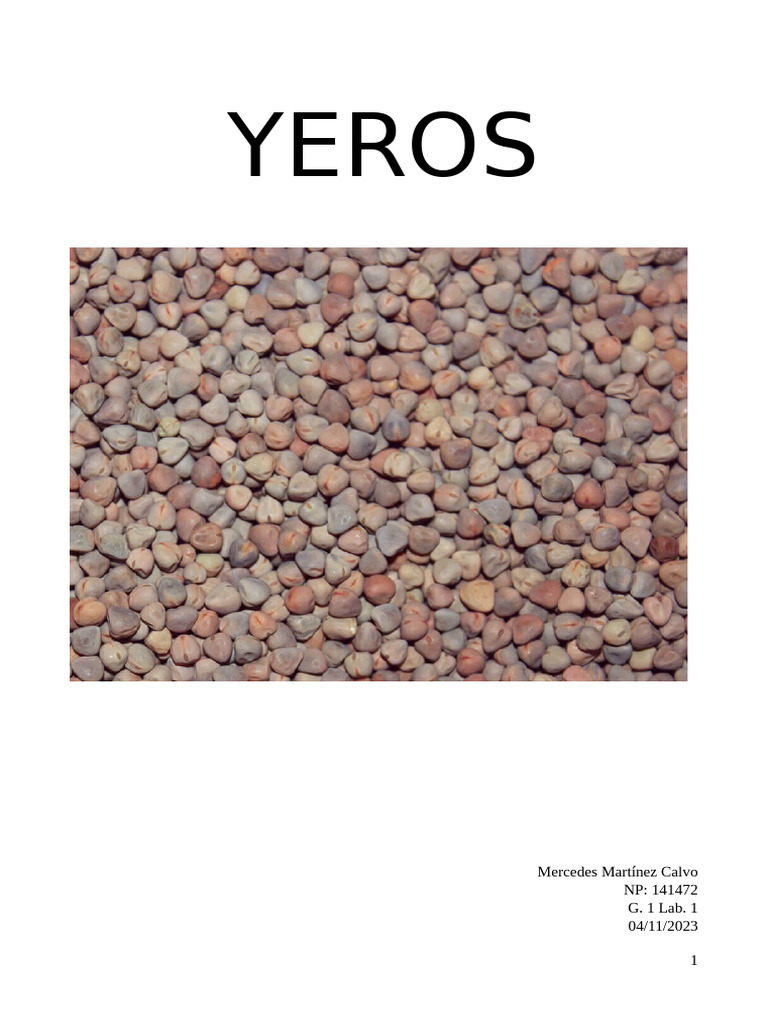 Cultivo y características de los yeros | PDF | Agricultura | Legumbre