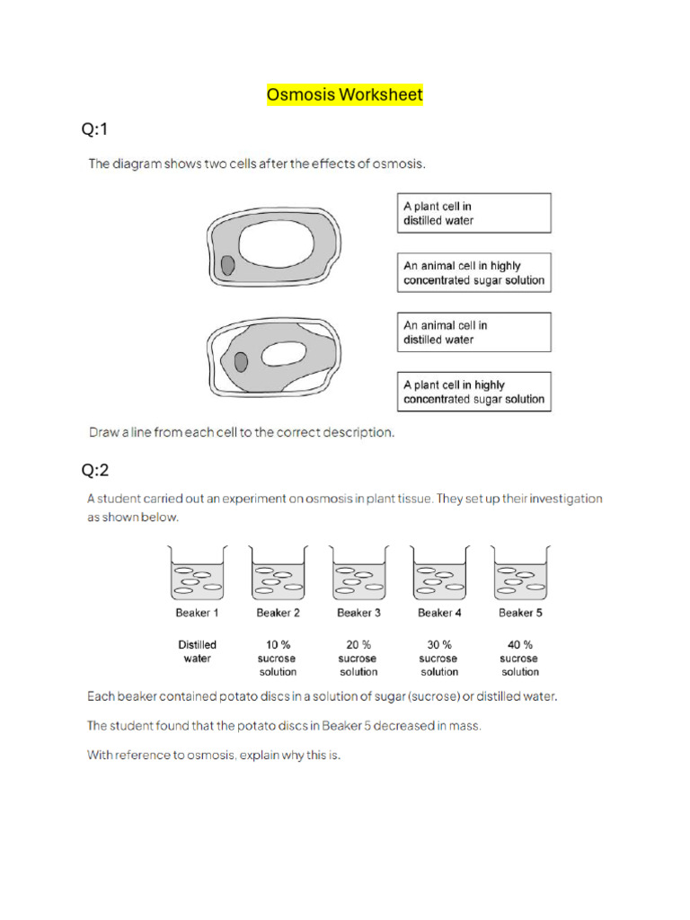 Osmosis Worksheet | PDF