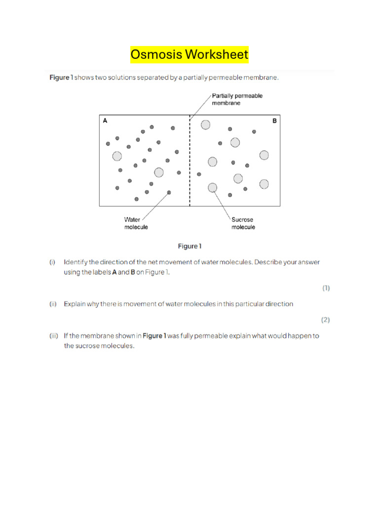Osmosis Worksheet | PDF