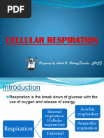 A-Level Biology: Energy & Respiration Worksheet | PDF