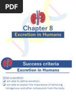 ? Excretion - Grade 11 Life Sciences | PDF