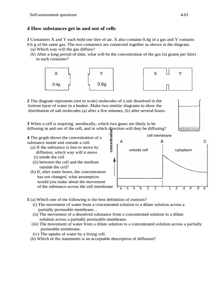diffusion-osmosis-questions | PDF | Osmosis | Cell Membrane