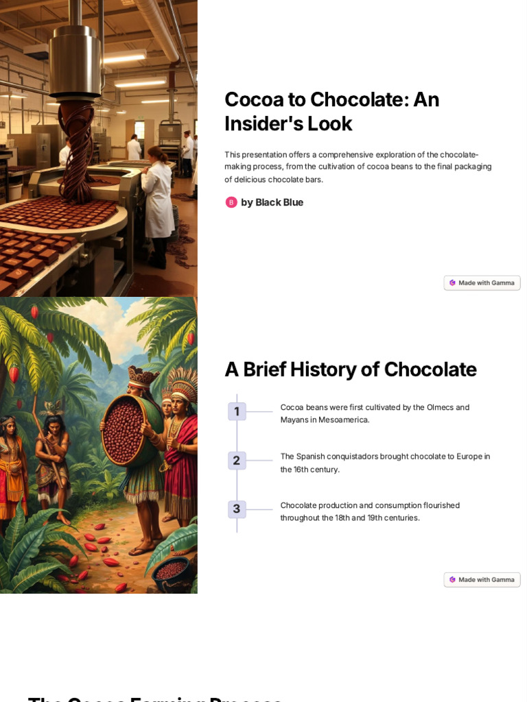 Cocoa To Chocolate An Insiders Look | PDF | Chocolate | Cocoa Bean
