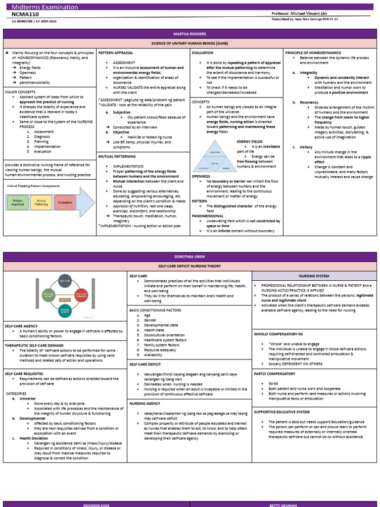 Homeodynamics in Nursing Practice | PDF | Stress (Biology) | Nursing