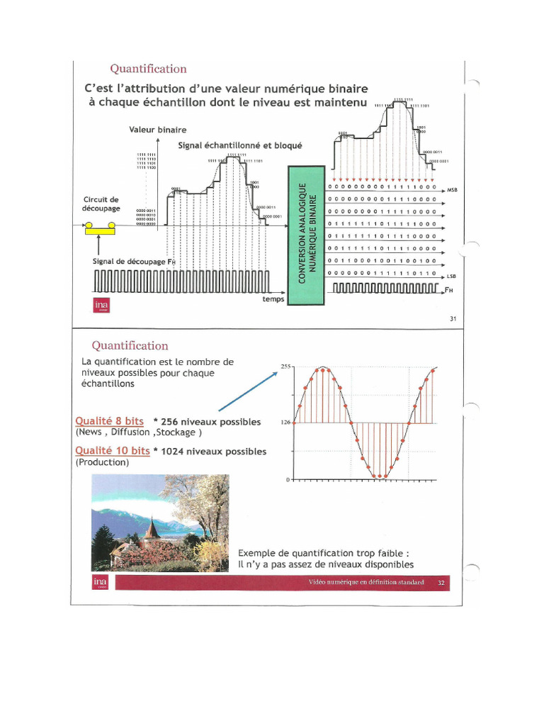 Quantification | PDF