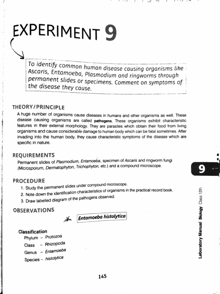 Class 12 Bio Last Spotting | PDF