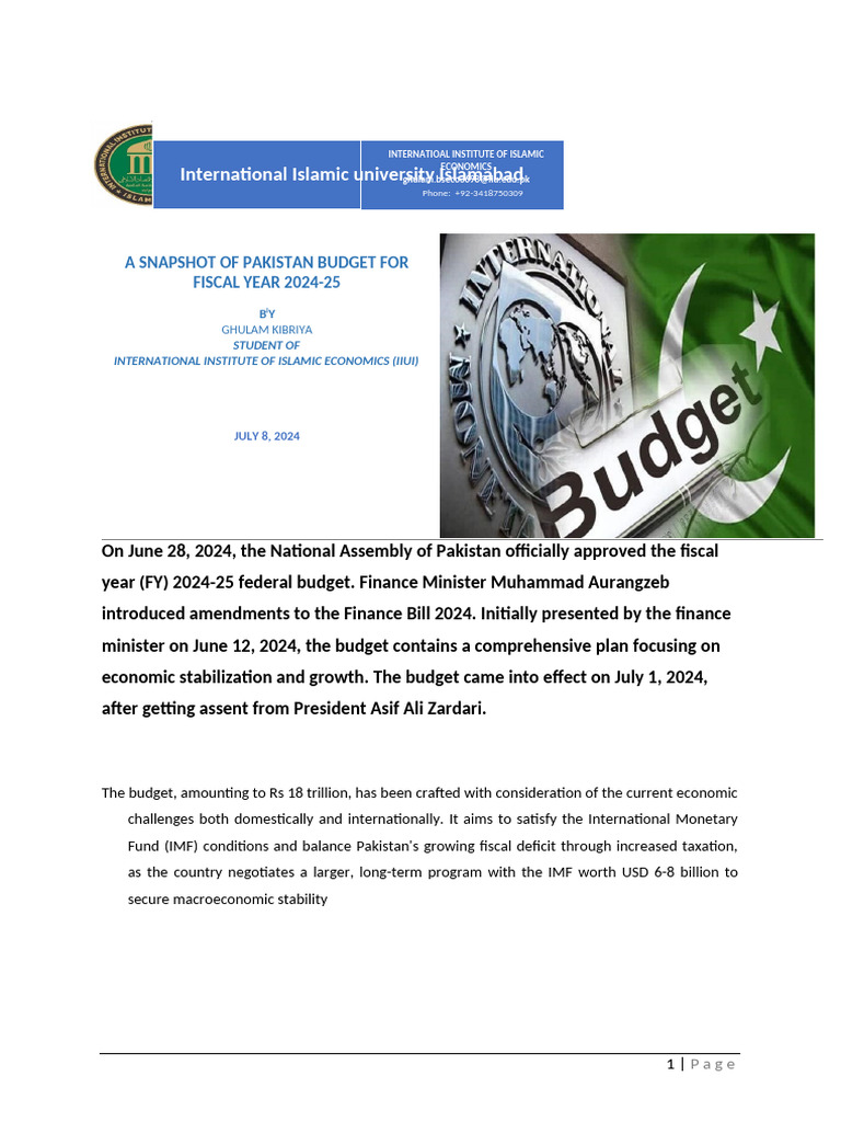 Pakistan Budget 2024-25 Overview | PDF | Government Budget Balance ...