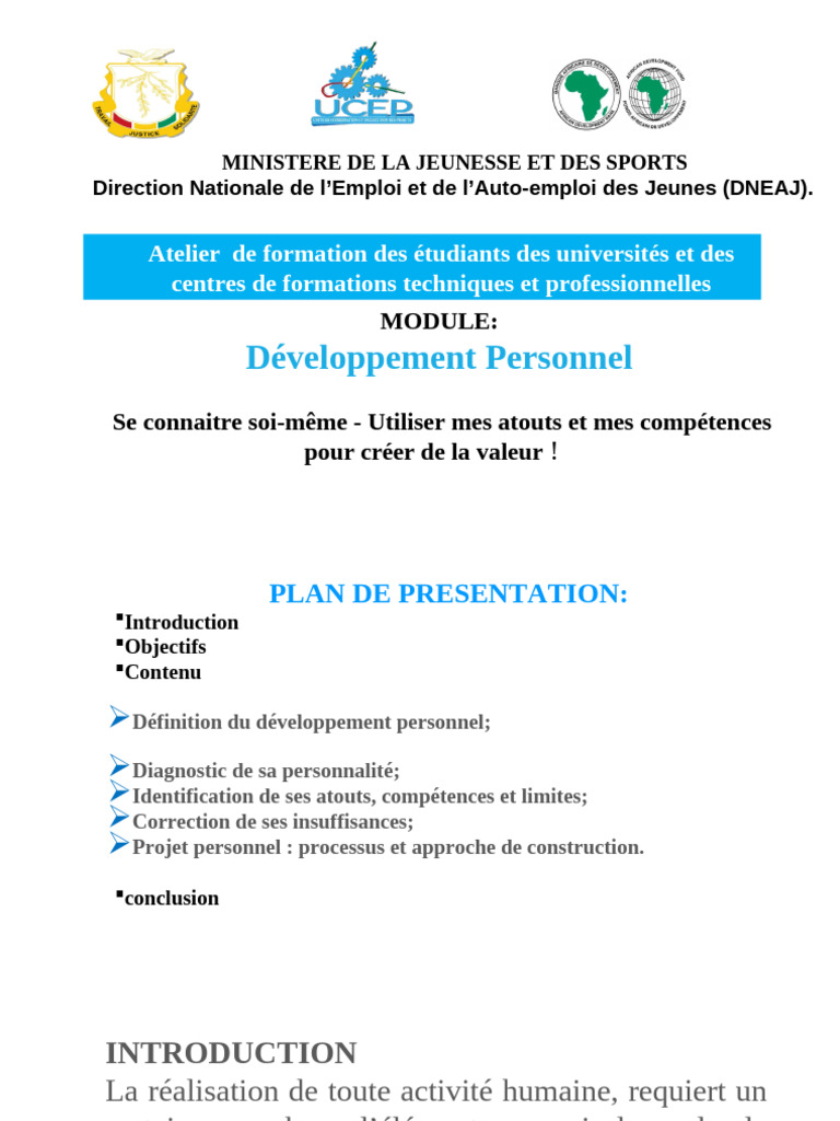 Le Developpement personnel-1.VF | PDF | Risque | Planification